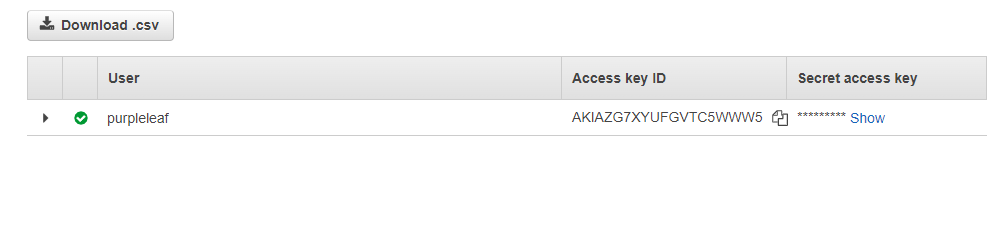 Create An Aws Read Only Access Token Virtue Security
